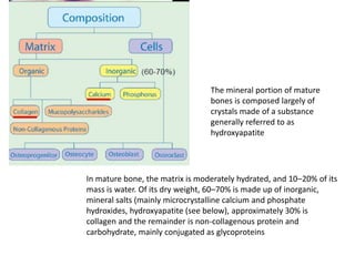 General anatomy of bones | PPT