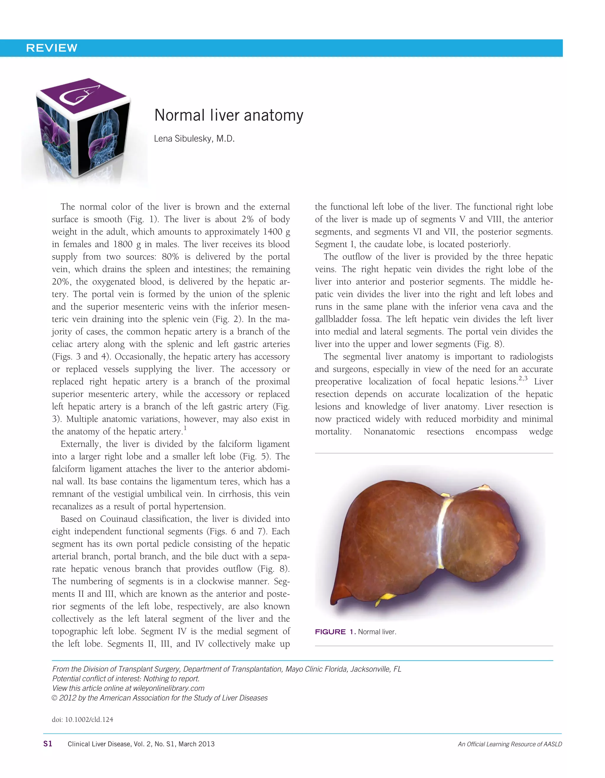 Anatomia hepática normal (2013) | PDF