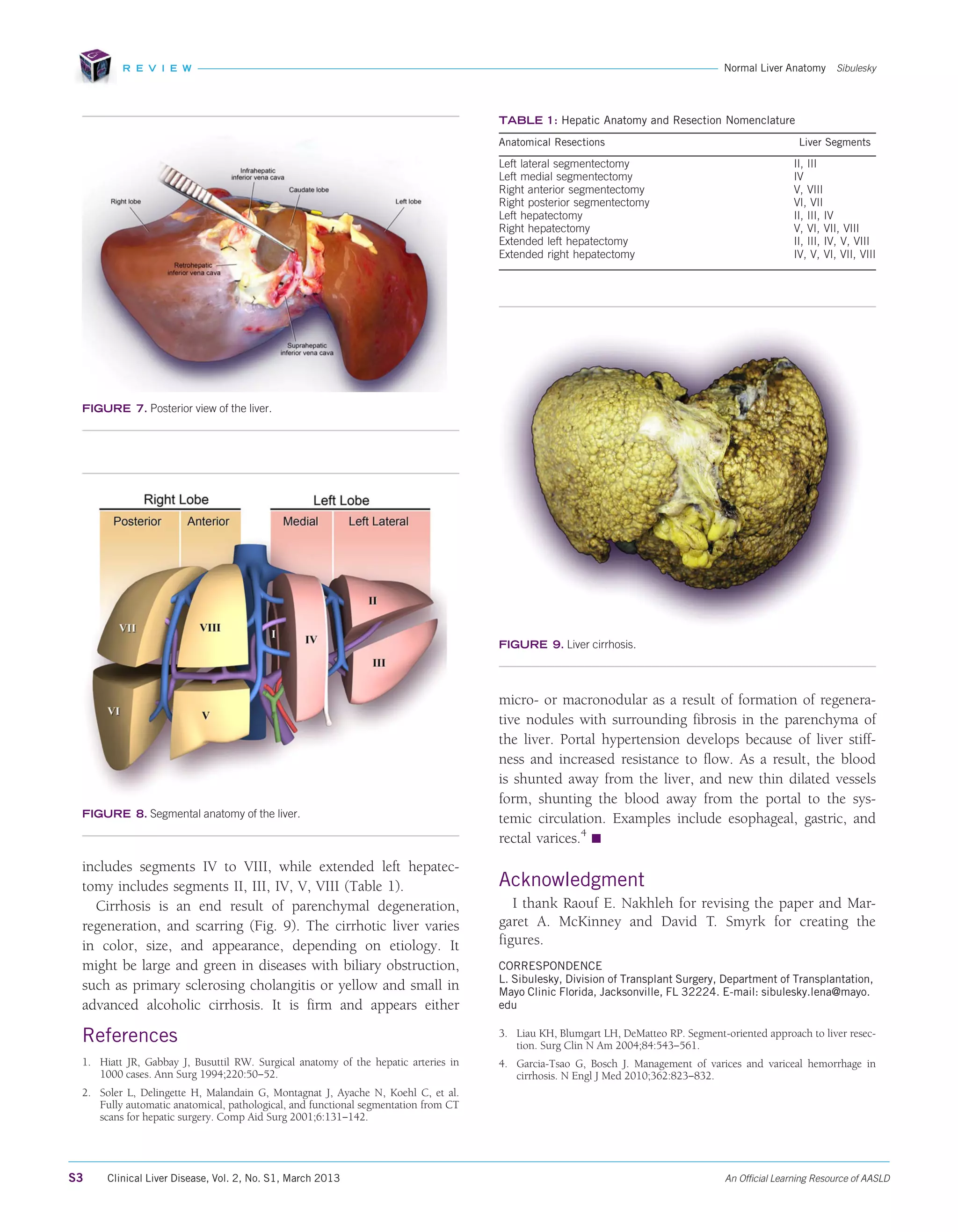 Anatomia hepática normal (2013) | PDF