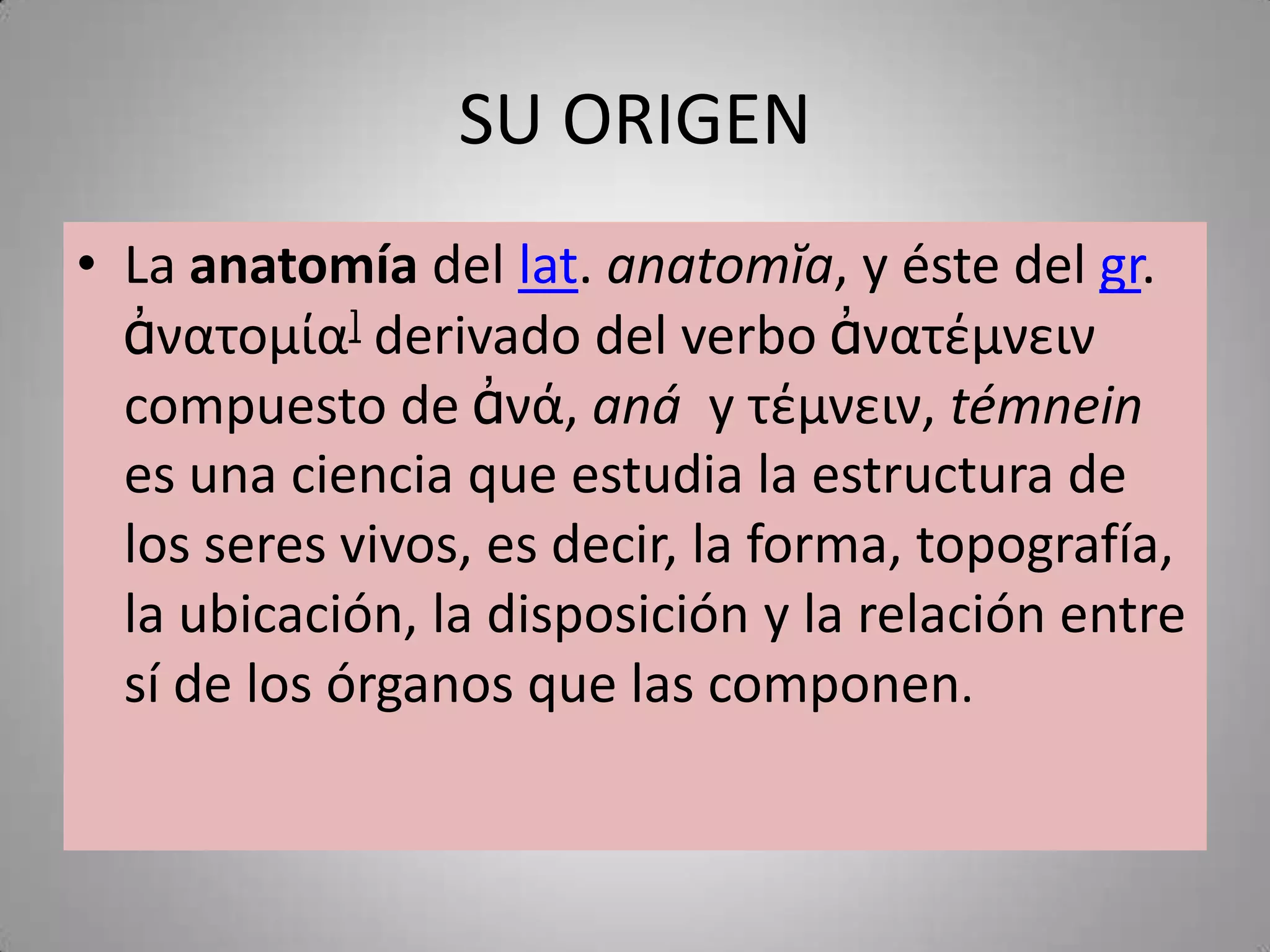 Anatomia humana | PPTX | Science