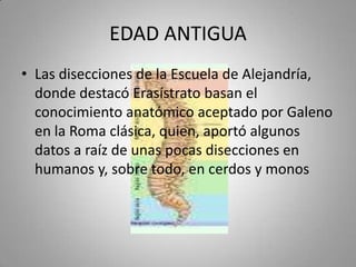 Anatomia humana | PPTX