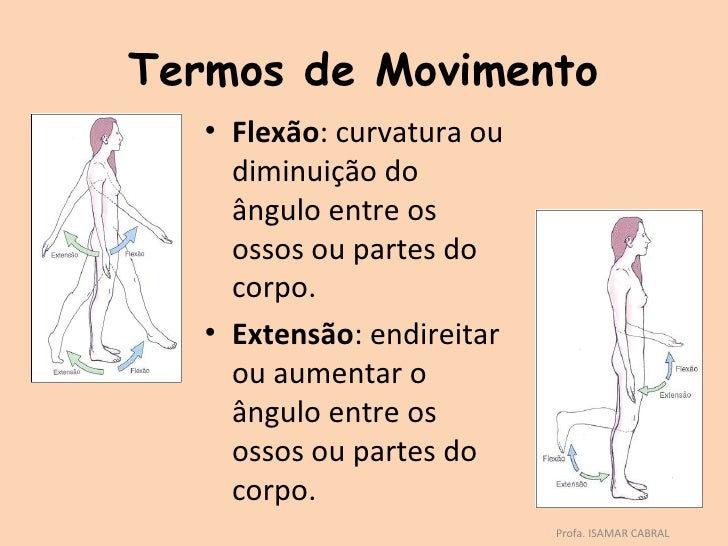 Anatomia humana