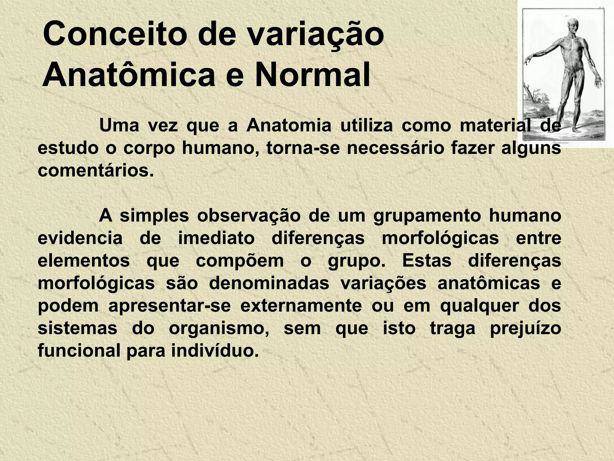 Anatomia humana | PPT