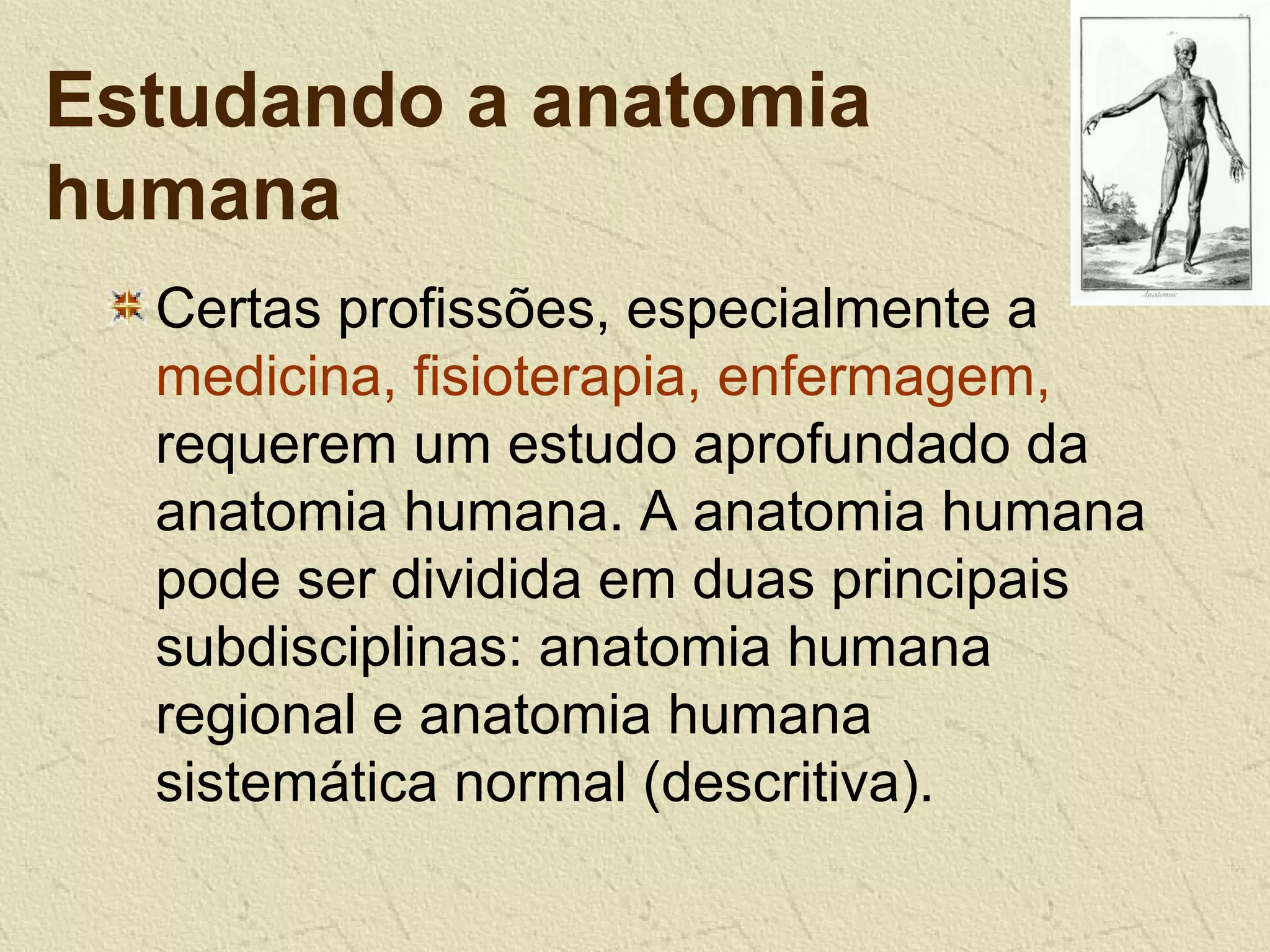 Anatomia humana | PPT