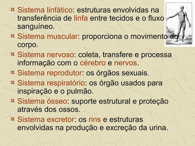 Anatomia humana | PPT