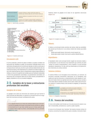 MANUAL COMPLETO DEL CTO DE ANATOMIA HUMANA.pdf