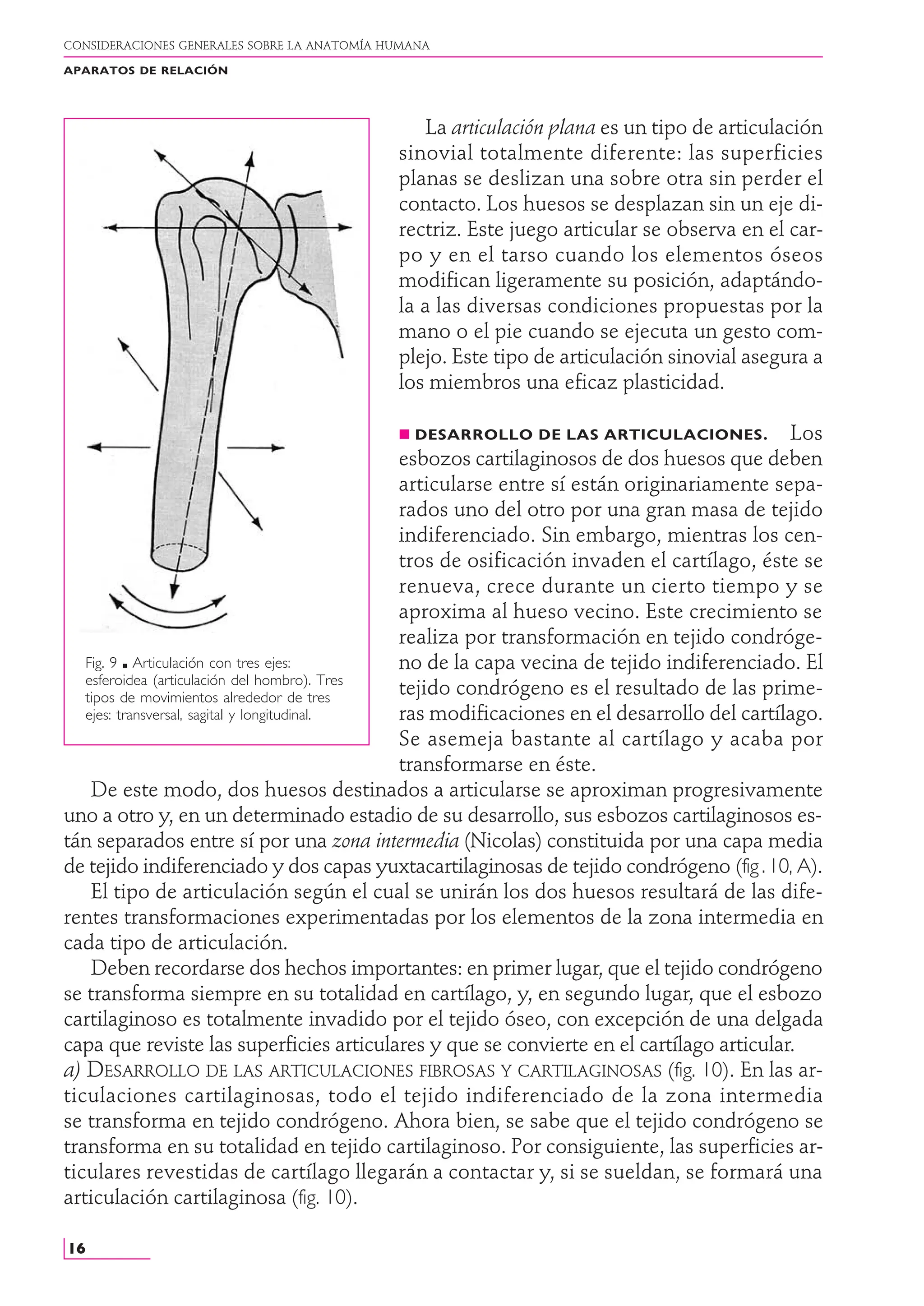 Anatomia Humana - Rouviere - Tomo 1 - 11va Edición.PDF