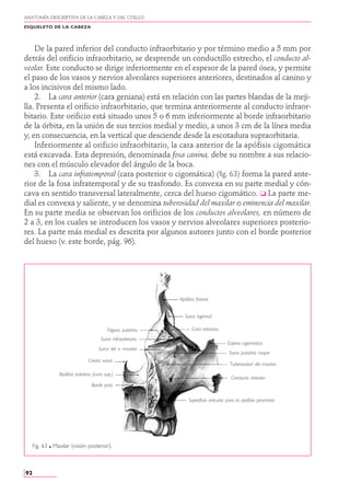 Anatomia Humana - Rouviere - Tomo 1 - 11va Edición.PDF