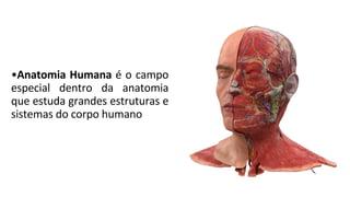 ANATOMIA HUMANA - AULA DE ANATOMIA 1 INTRODUÇÃO | PDF