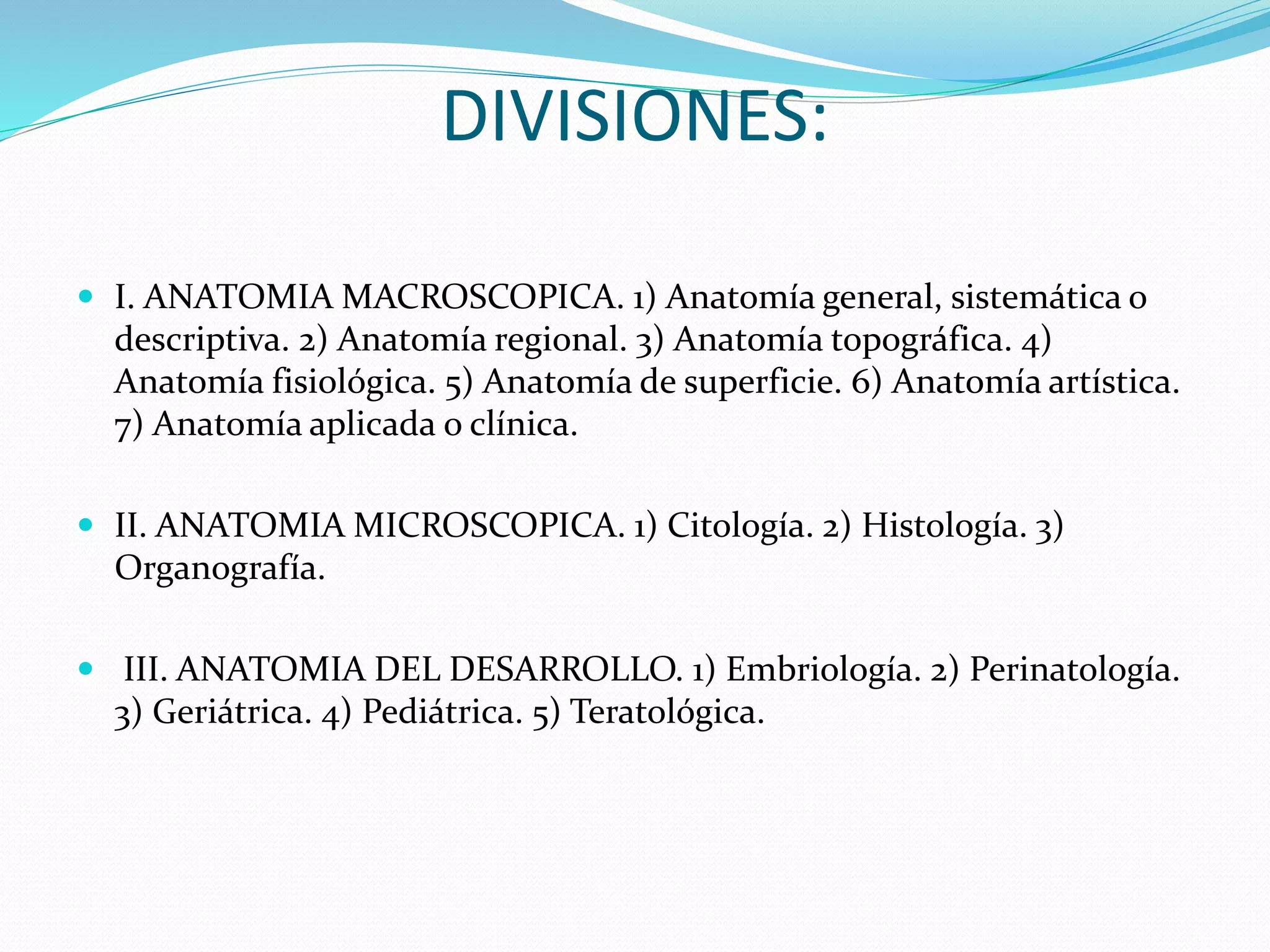 Anatomia humana by javier daza | PPT