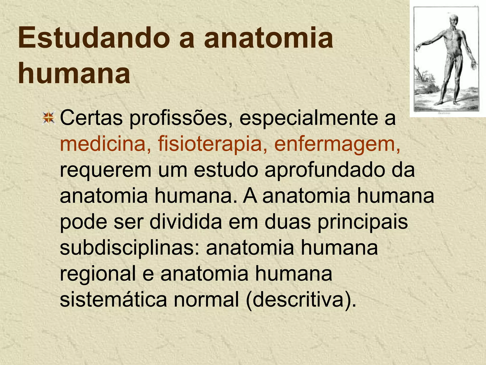 ANATOMIA HUMANA E ANIMAL 07.ppt