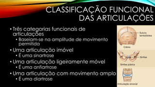 Anatomia_Humana_Enfermagem_Sistema_Articular.pdf