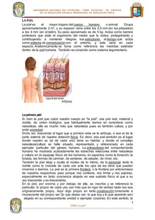Anatomia humana la piel | DOCX