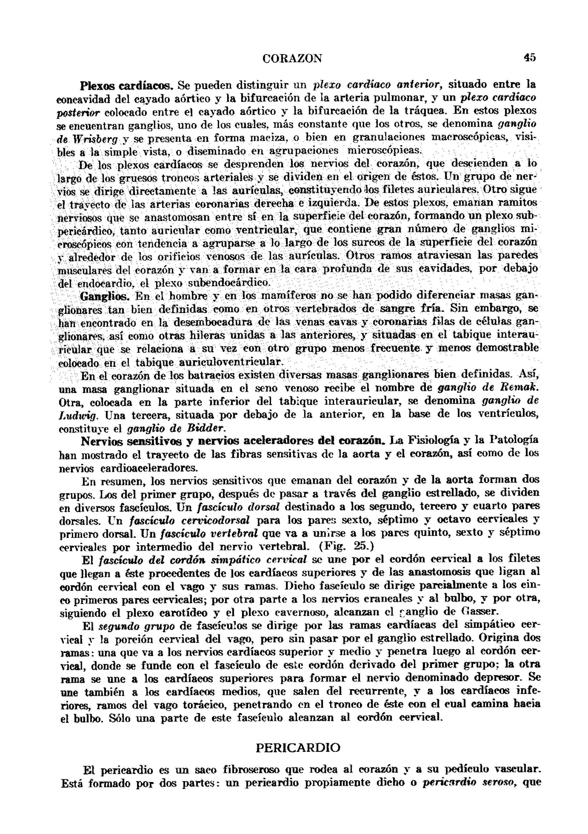 Anatomia humana- Quiroz (tomo 2) | PDF