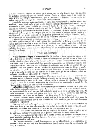 Anatomia humana- Quiroz (tomo 2) | PDF