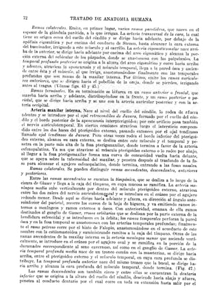 Anatomia humana- Quiroz (tomo 2) | PDF