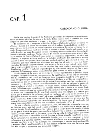 Anatomia humana- Quiroz (tomo 2) | PDF