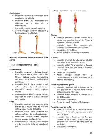 Anatomia Humana Resquin Y Prando | PDF