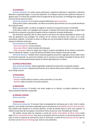 Anatomia Humana Resquin Y Prando | PDF