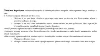ANATOMIA HUMANA SLIDE 2(2).pdf anatomia geral | PDF