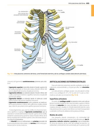 Anatomia Humana T2 - Latarjet-Ruiz Liard.pdf