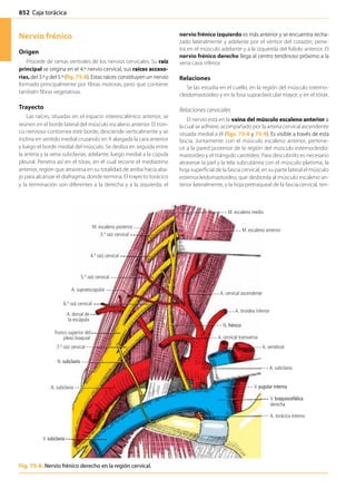 Anatomia Humana T2 - Latarjet-Ruiz Liard.pdf