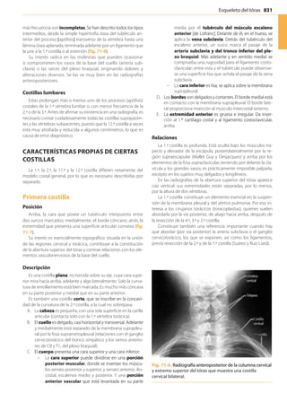 Anatomia Humana T2 - Latarjet-Ruiz Liard.pdf
