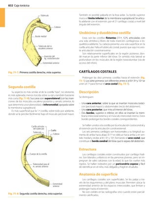 Anatomia Humana T2 - Latarjet-Ruiz Liard.pdf