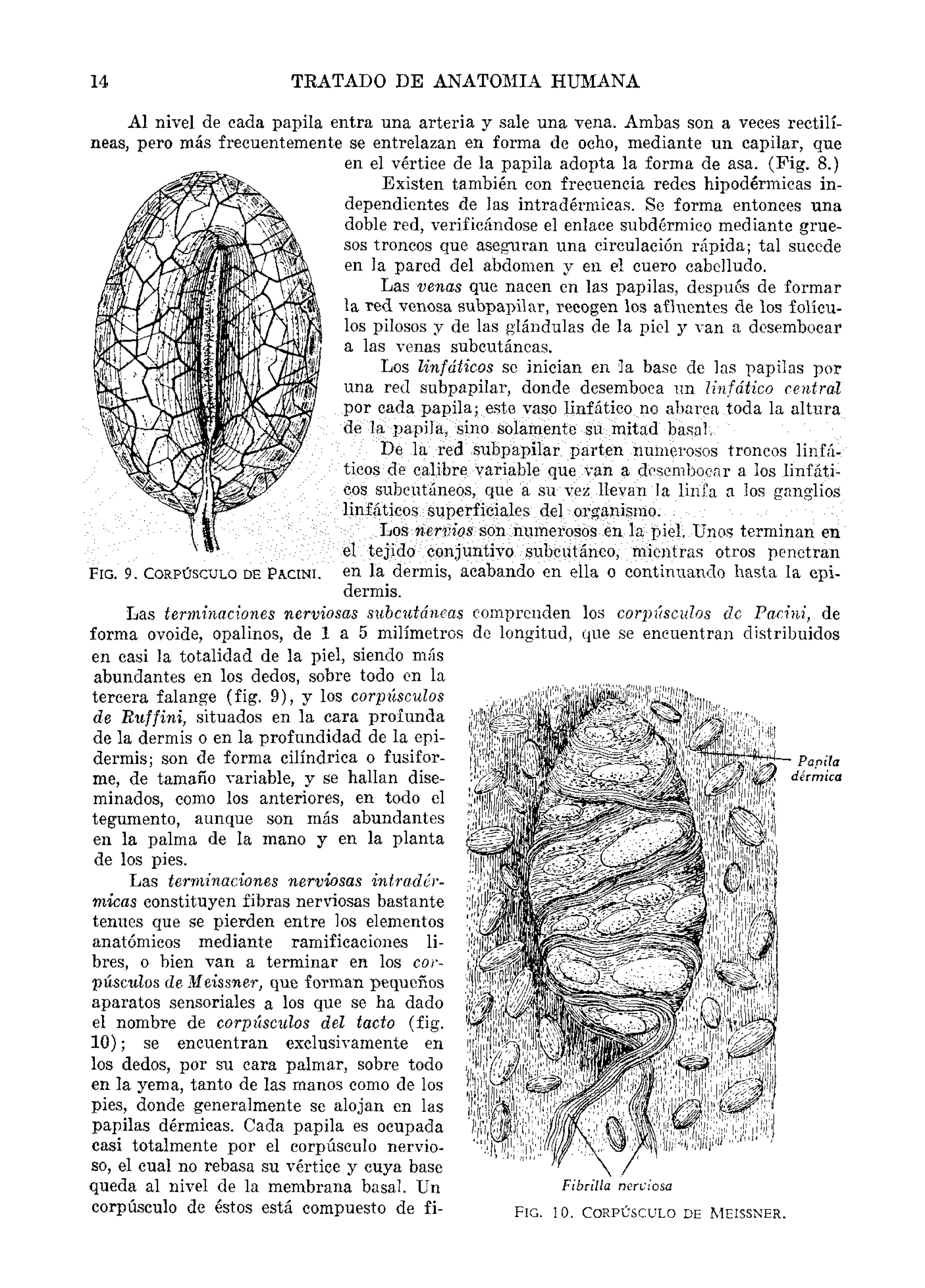 Anatomia_humana_Tomo_1_Fernando_Quiroz_G.pdf