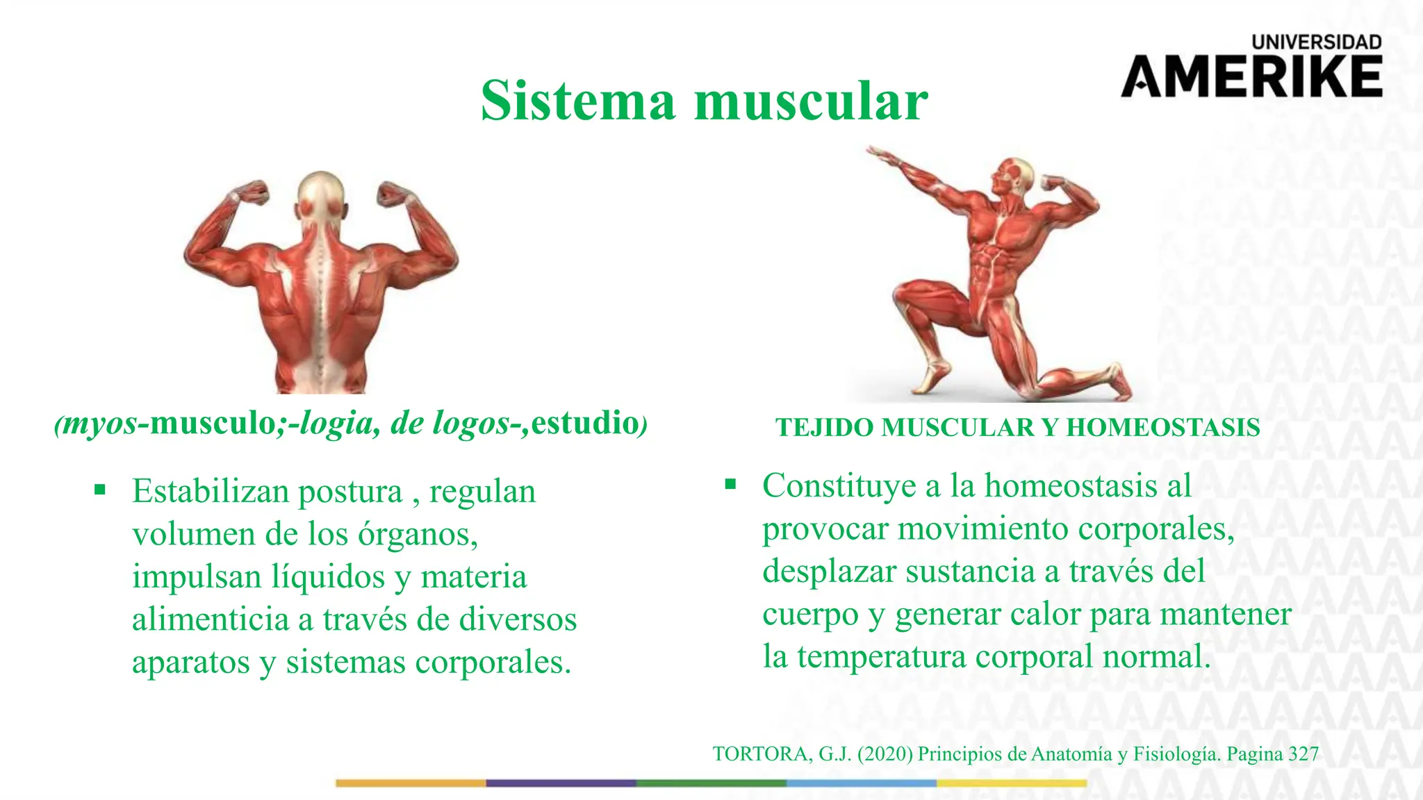 Anatomia I. Sistema muscular generalidades.pptx