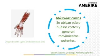 Anatomia I. Sistema muscular generalidades.pptx