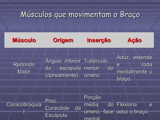 Anatomia i apendicular superior miologia | PPT