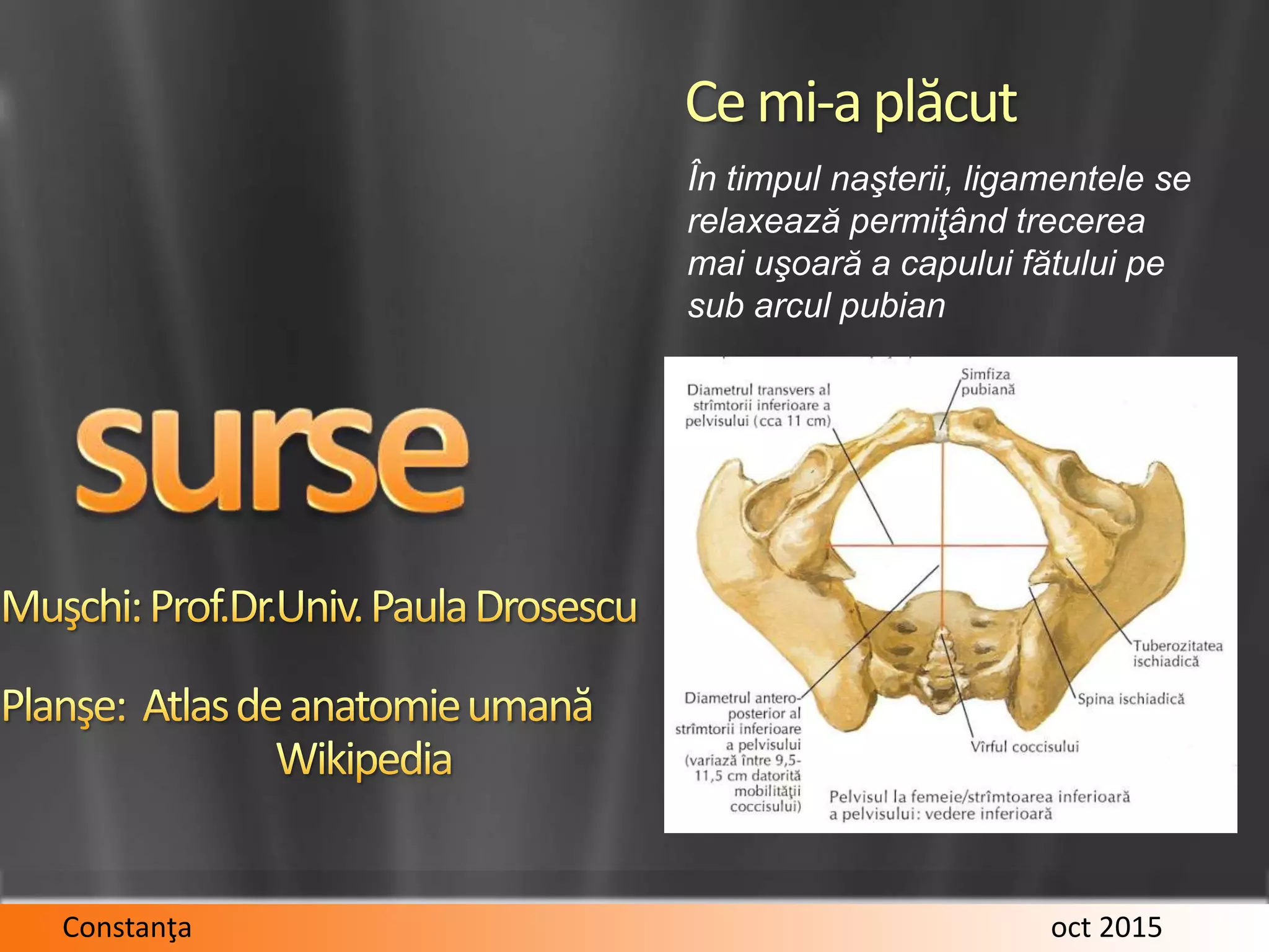 Anatomia şi biomecanica bazinului oct 2015 | PPSX