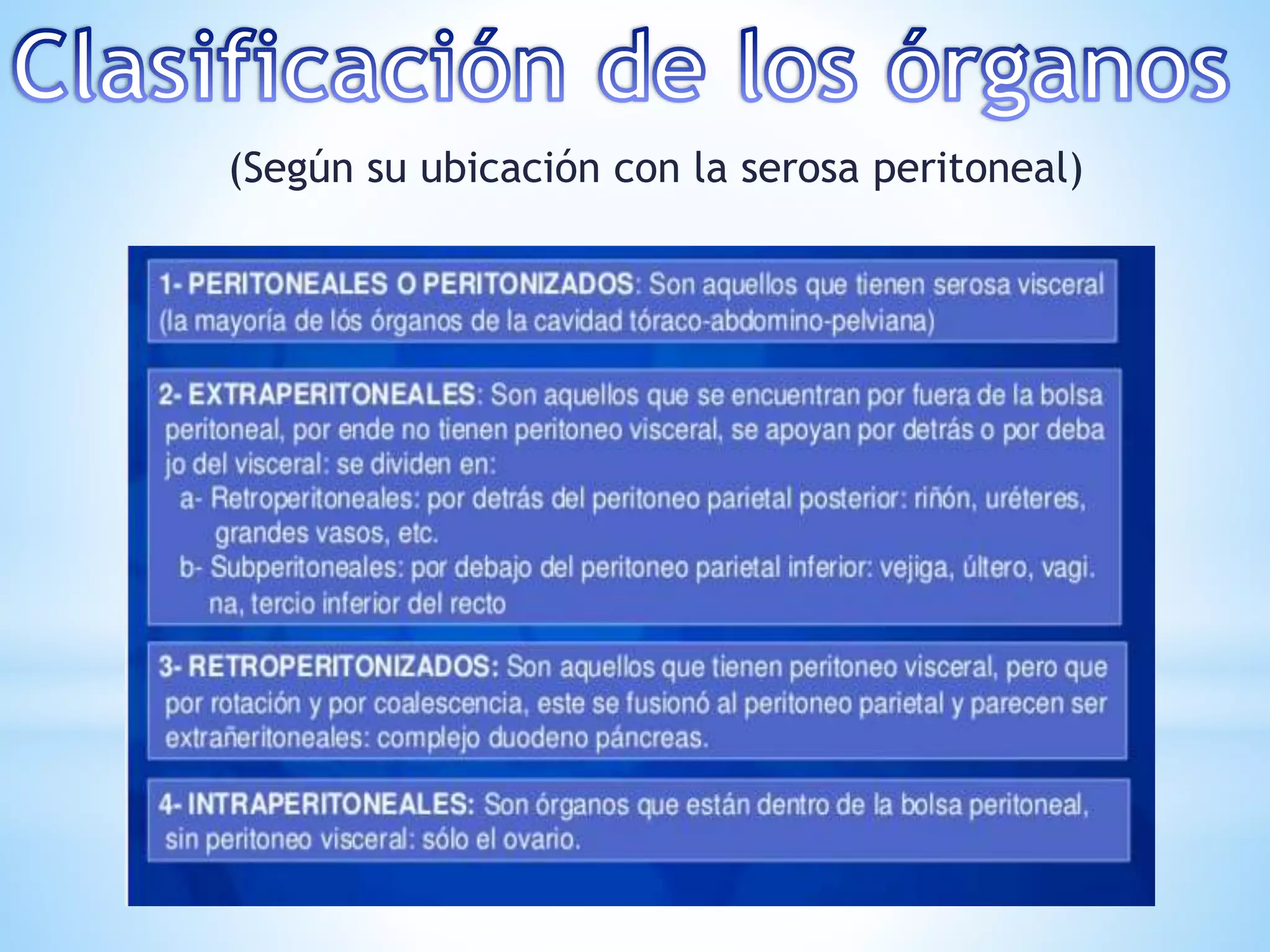 Topografia abdominal y anatomia de peritoneo | PPT