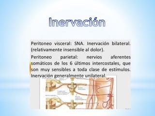 Topografia abdominal y anatomia de peritoneo | PPTX