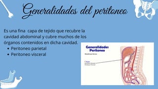 un poco de la anatomia, y sus generalidades de cada estructura | PDF