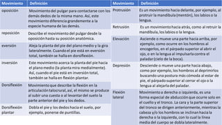 Guia tecnico en enfermeria primer semestre anatomia basica | PDF