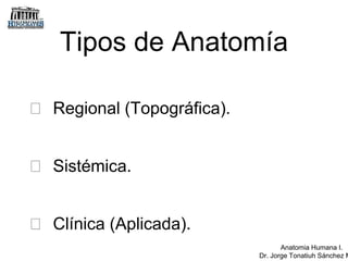 Anatomia. Nomenclatura y terminología | PPTX
