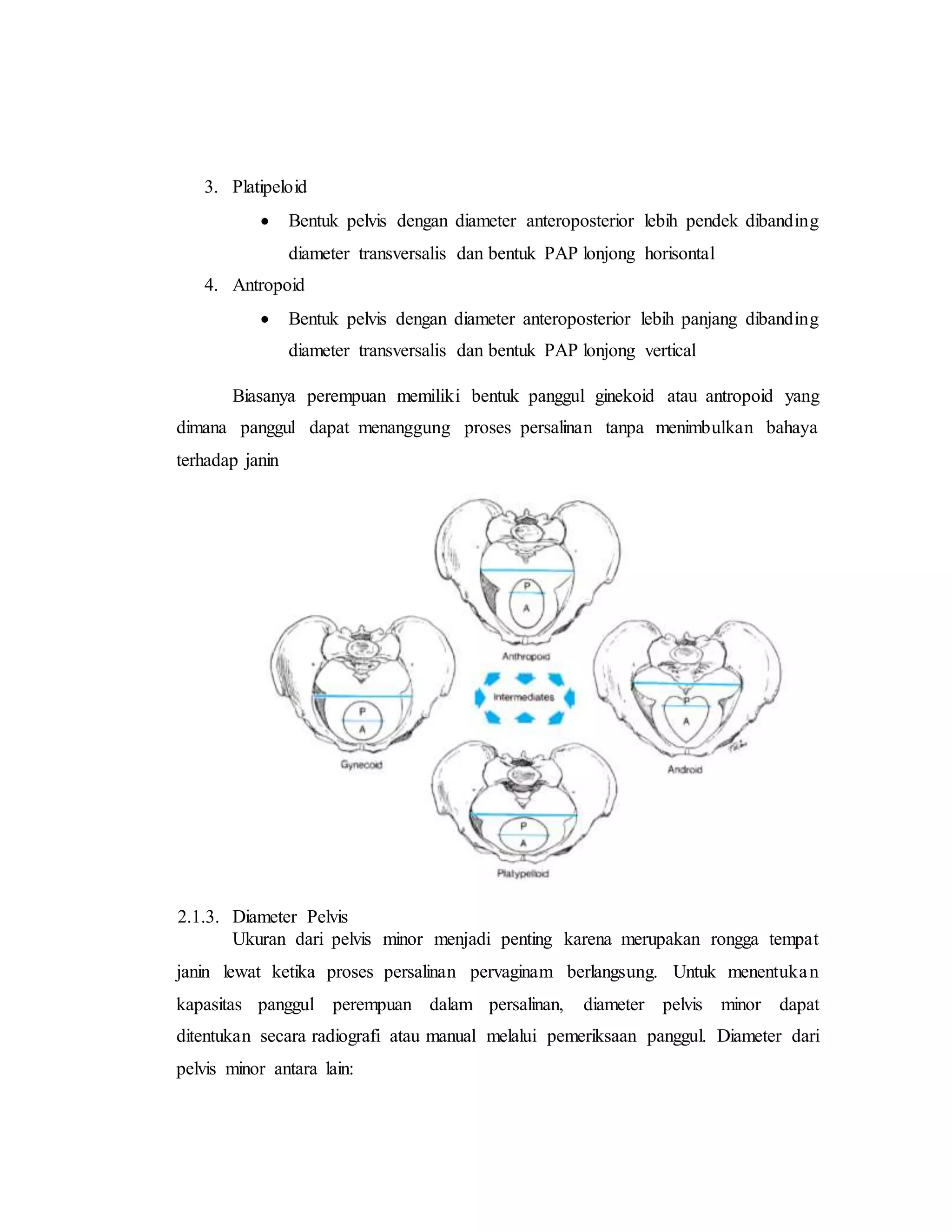 referat obgyn Anatomi alat reproduksi dan embriologi (pembimbing : dr. Arie Widiyasa, spOG) | PDF