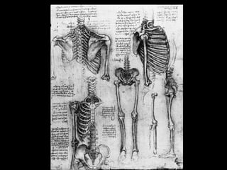 Anatomia leonardo da vinci | PPT