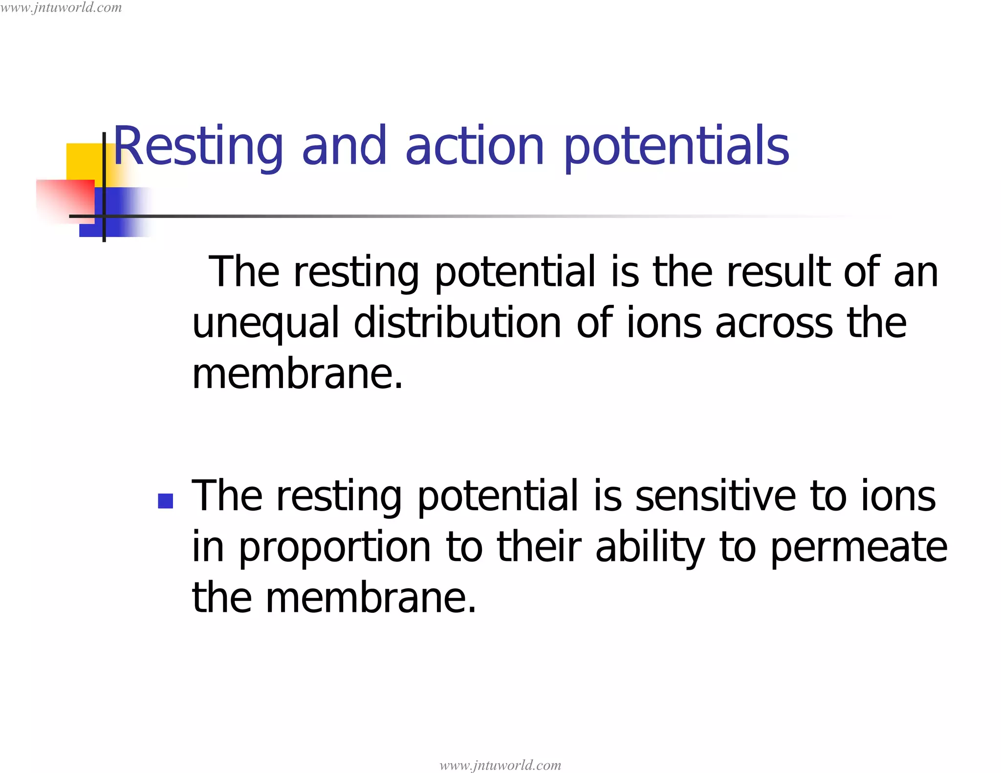 Anatomi all ecg_emg_1 | PPT