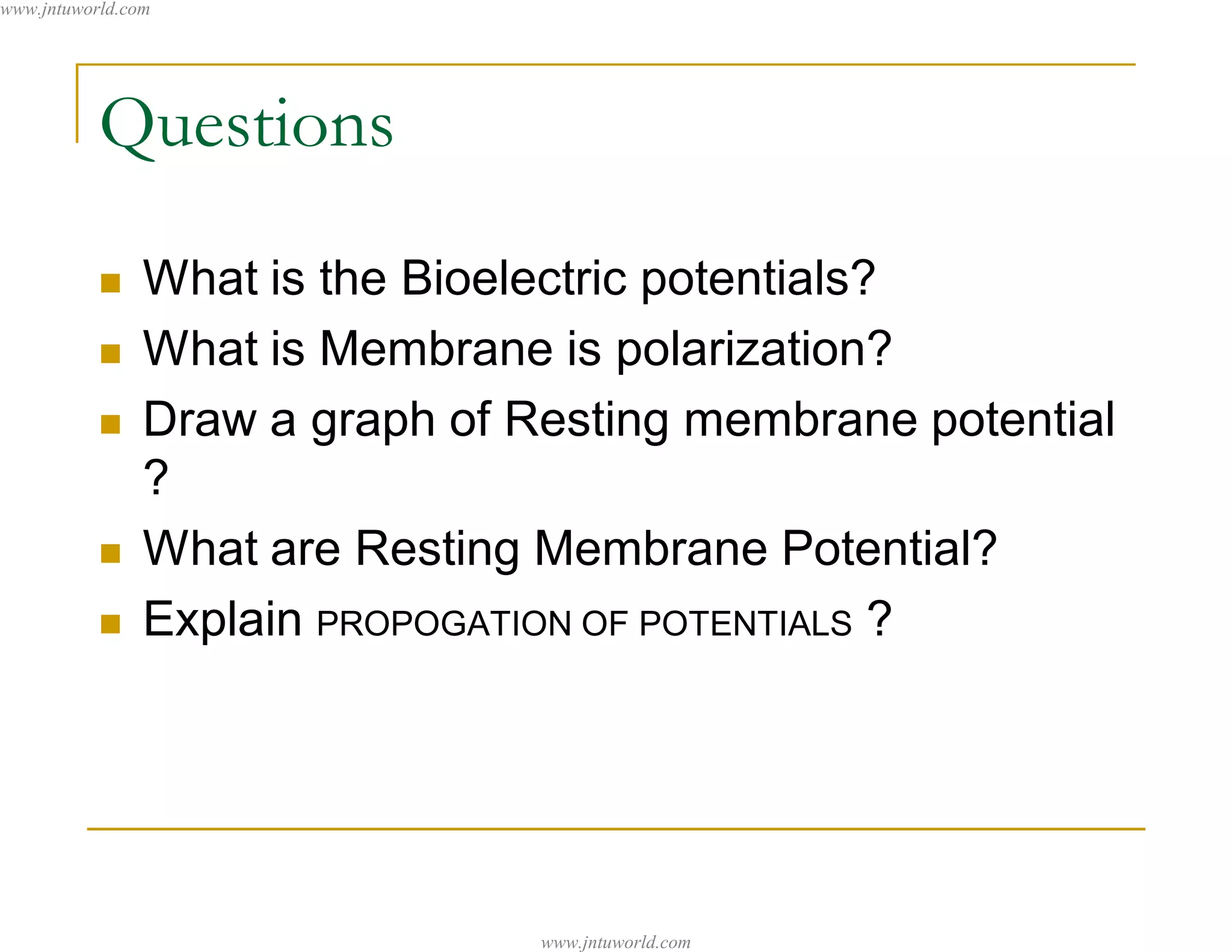 Anatomi all ecg_emg_1 | PPT