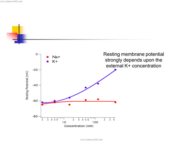 Anatomi all ecg_emg_1 | PPT