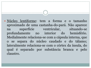 Anatomia macroscópica dos hemisférios cerebrais | PPTX