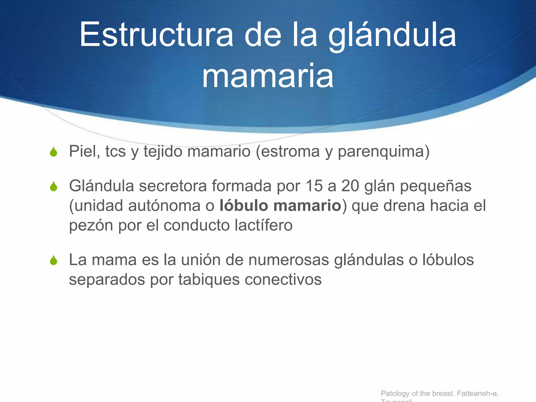Anatomía de la mama | PPTX