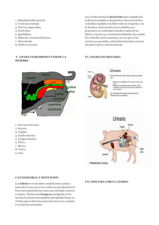 Anatomia morf y fisiologia | DOCX