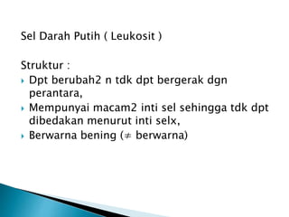 Anatomi_and_Fisiologi_Hematoloooogi.pptx
