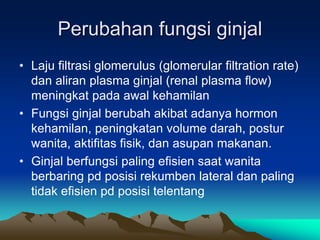 ANATOMI_and_FISIOLOGI_KEHAMILAN.ppt