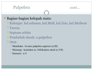 Anatomi_and_fisiologi_ Bagian bagian mata.pptx