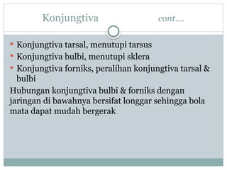 Anatomi_and_fisiologi_ Bagian bagian mata.pptx